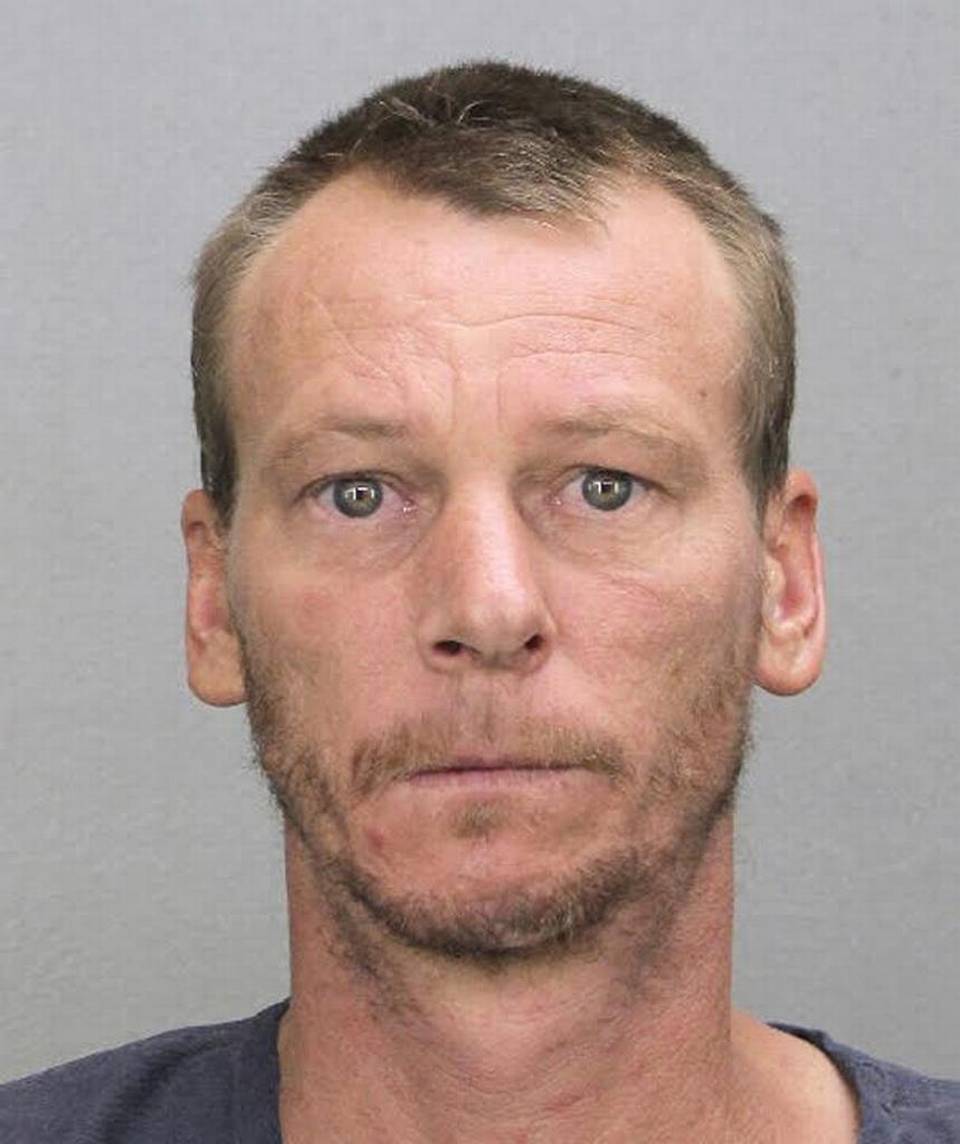 Donald Lee Hicks rams his Confederate Flag van into black couple while ...