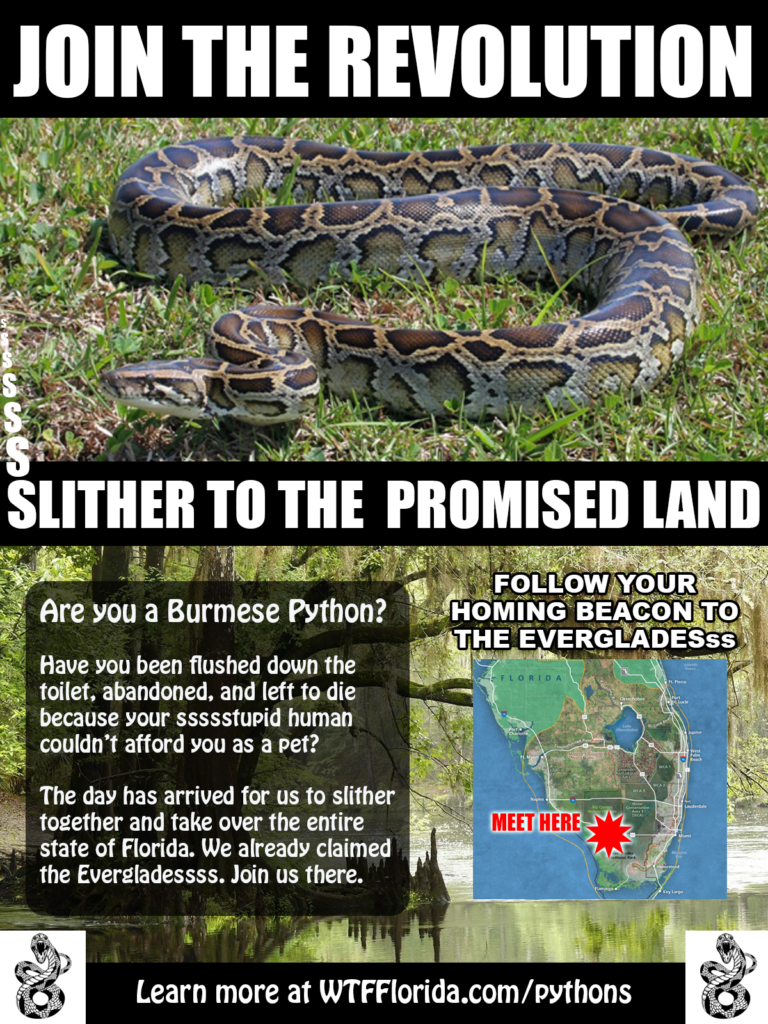 Burmese Pythons in the Everglades - WTF Florida?