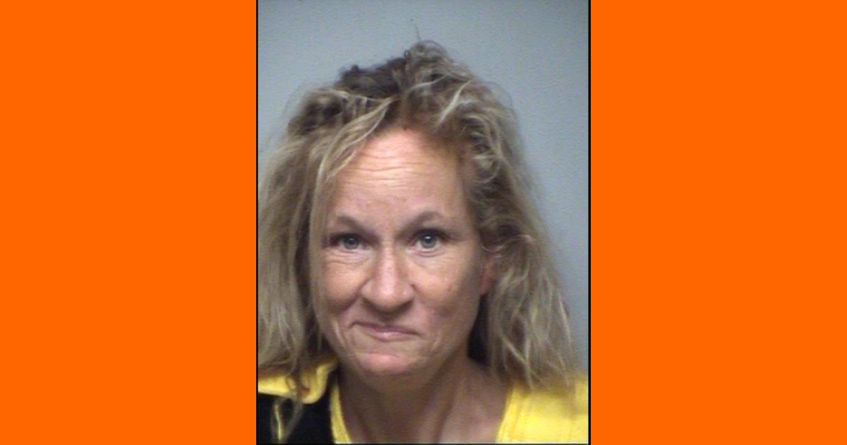 Upset over disability checks being cut off, Florida woman attempts ...