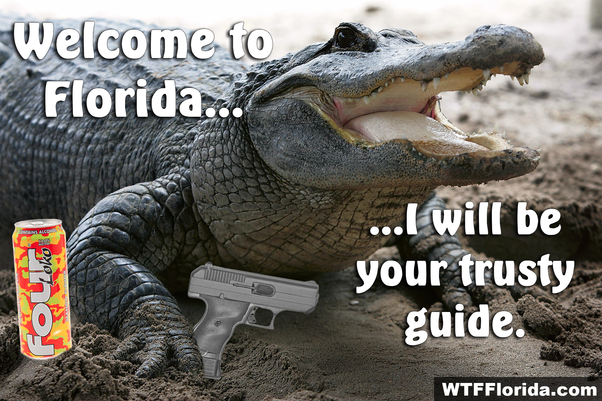 Welcome to Florida, I will be your trusty guide
